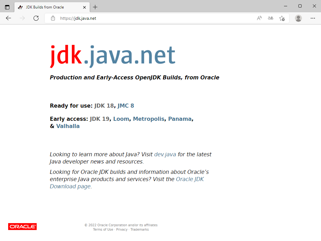 Efinity Sapphire SoC生成の為のJava(openJDK)インストール手順 - 株式会社ライト・ライト